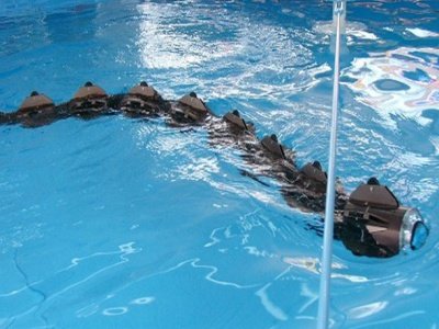 Le robot serpent, impressionnant et terrifiant