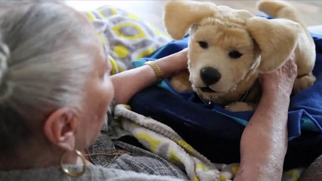 Ce robot bébé labrador aide à lutter contre la maladie d’Alzheimer