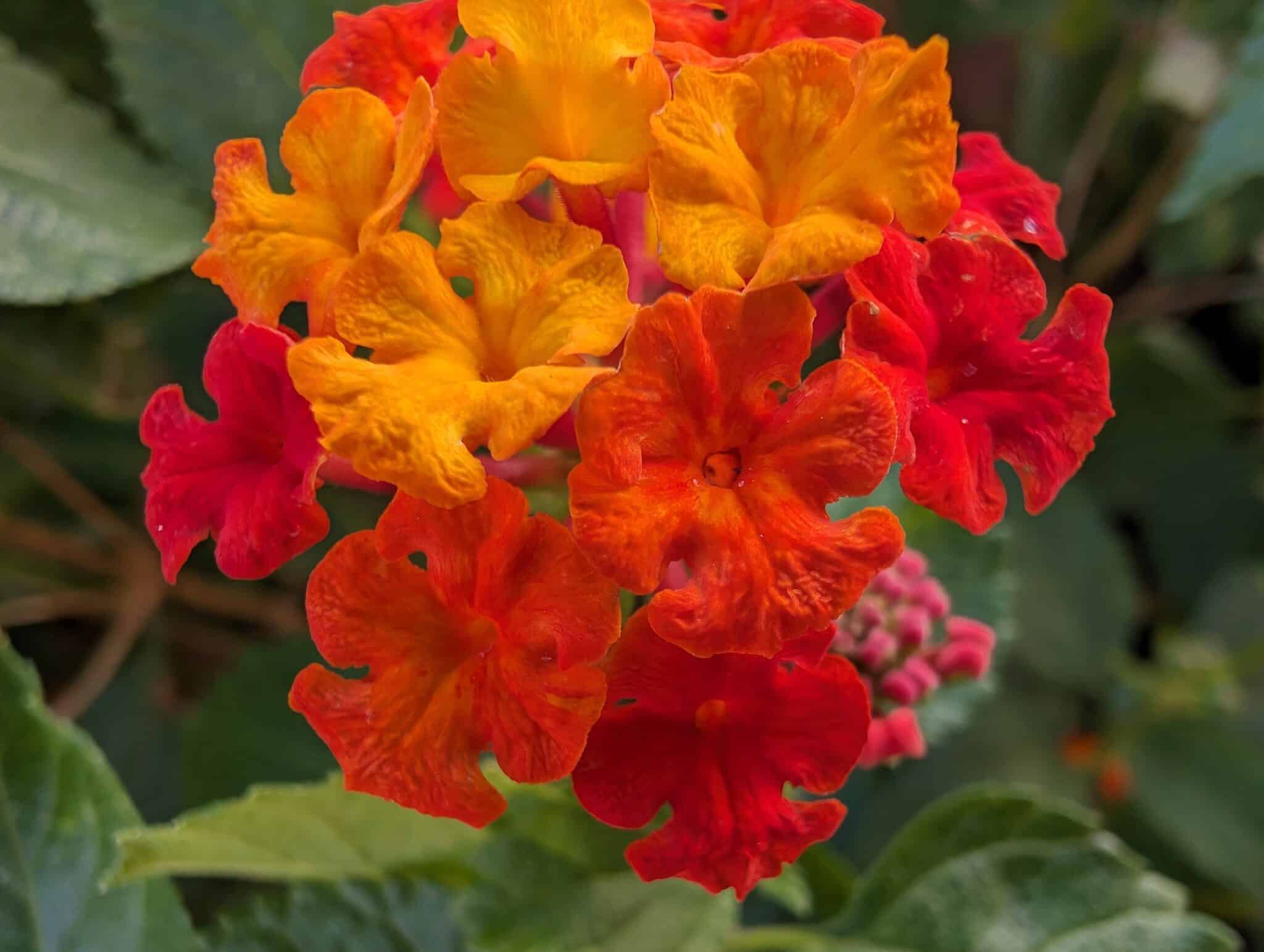 Test Google Pixel 8 Pro : toujours plus intelligent et excellent en ...