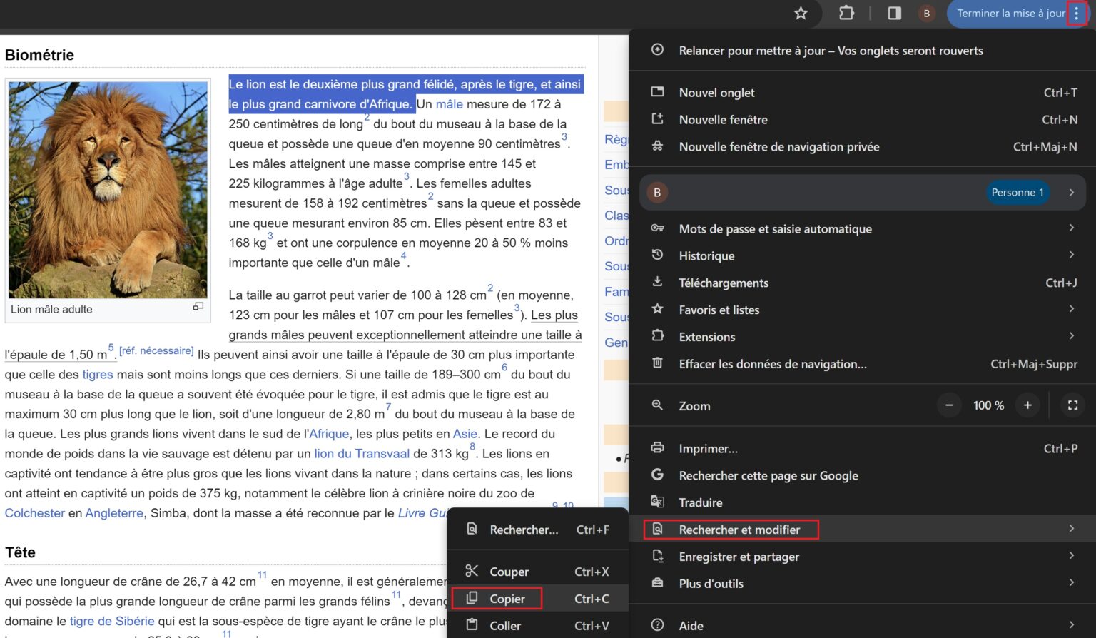 Comment copier et coller sur Windows et macOS