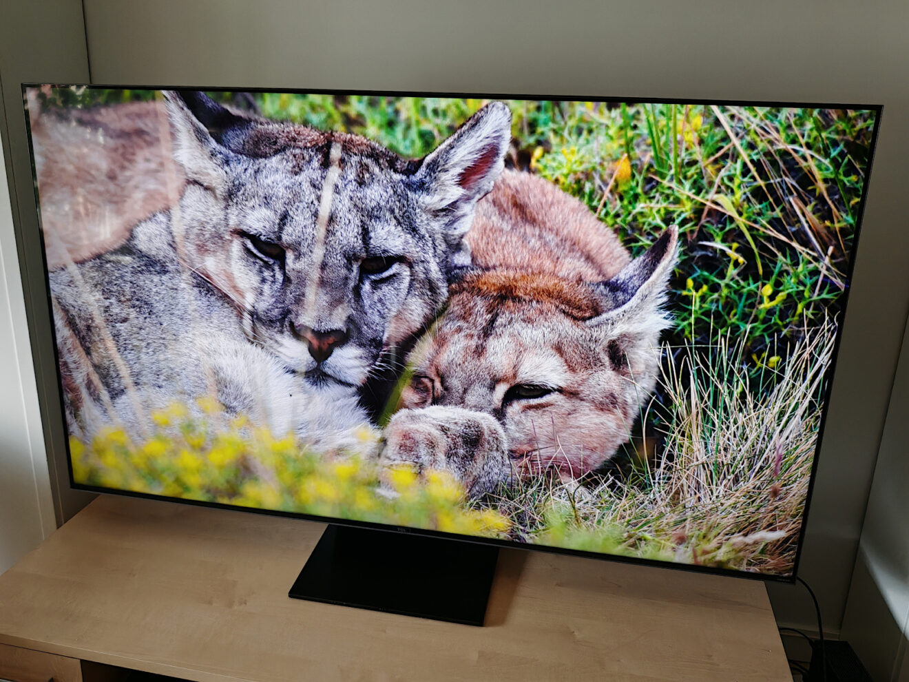 Test 65C805 : essai transformé pour la TV LCD mini LED la plus ...