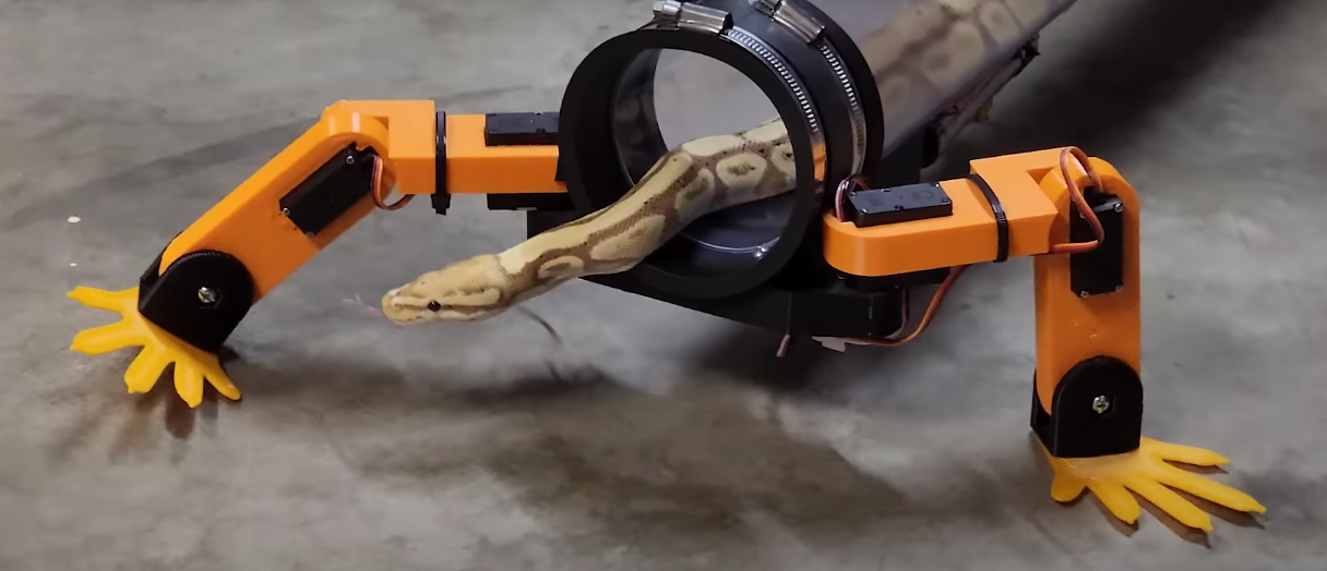 Le robot serpent, impressionnant et terrifiant